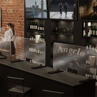 HealthShield™ - Foldable Shield